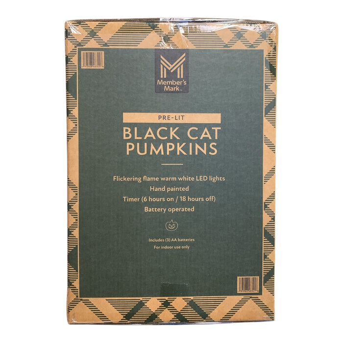Member's Mark Pre-Lit Black Cat Pumpkins, Set of 2, Warm White Flicker ...